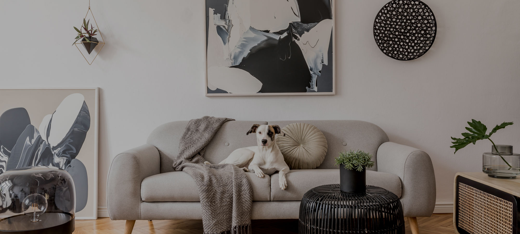 Dallas-Fort Worth Property Management | Green Light Property Management